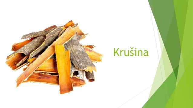 Farmakognozija_II_57 i 58 Frangulae cortex i Sennae folium | PPT