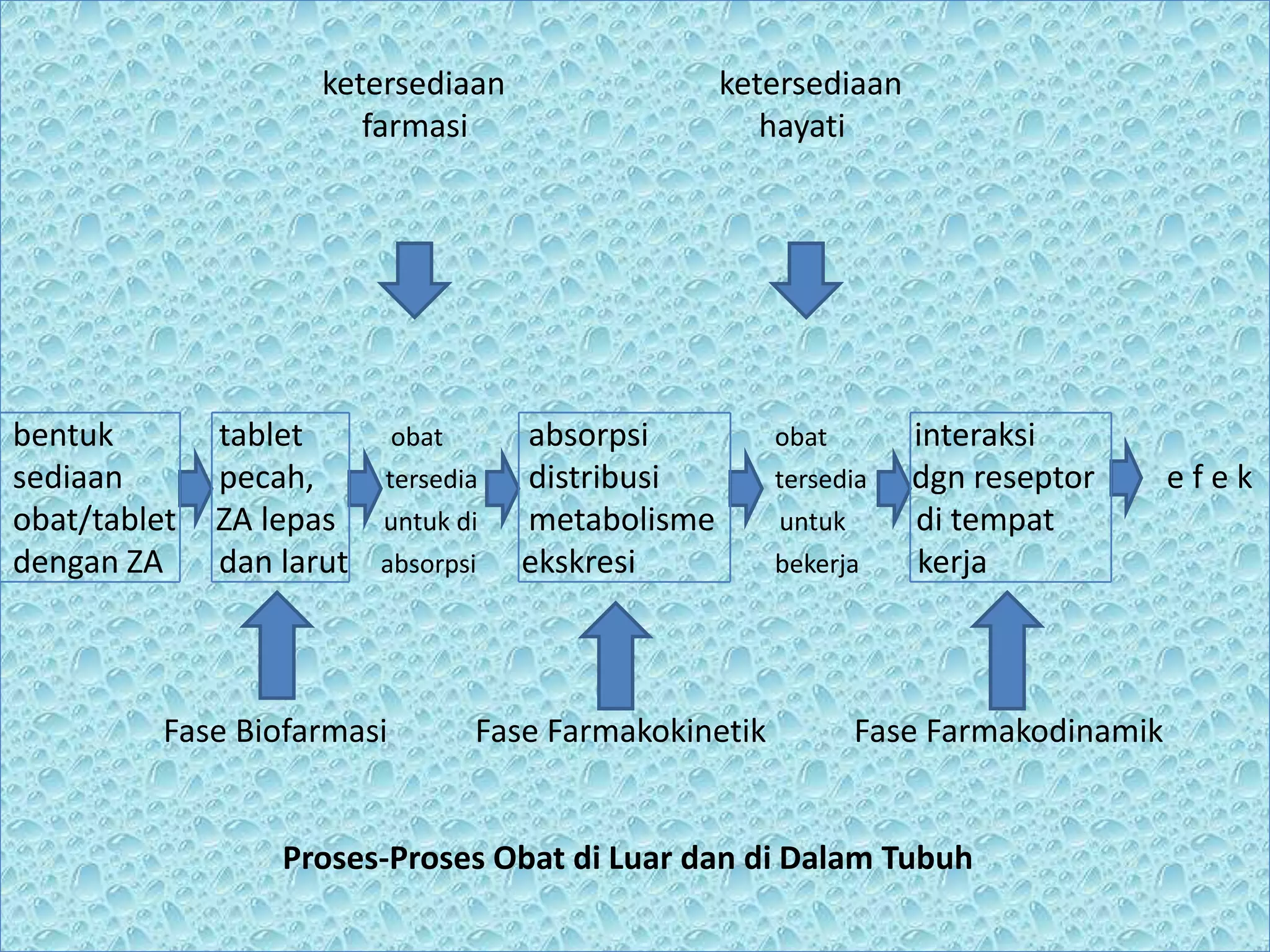 Farmakokinetika | PPTX