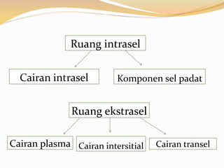 Farmakokinetik ii | PPTX