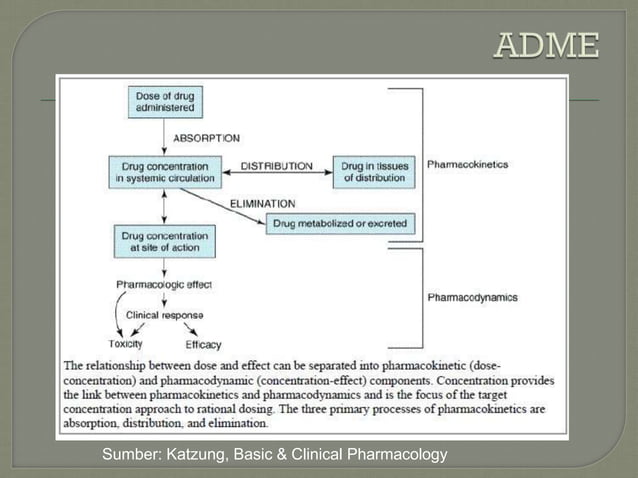 Farmakologi (Farmakodinamik & Farmakokinetik) ADME P3 & P4.pptx
