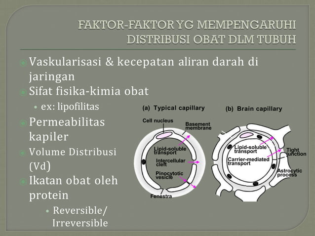 Farmakologi (Farmakodinamik & Farmakokinetik) ADME P3 & P4.pptx
