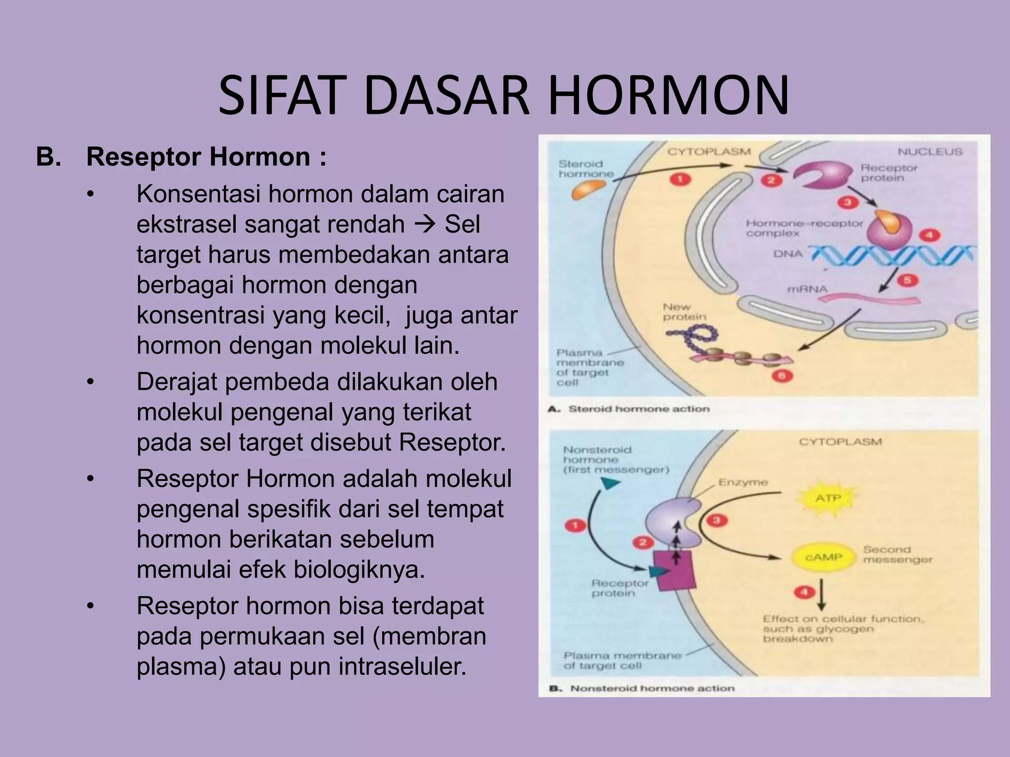 Farmakologi hormon | PPTX