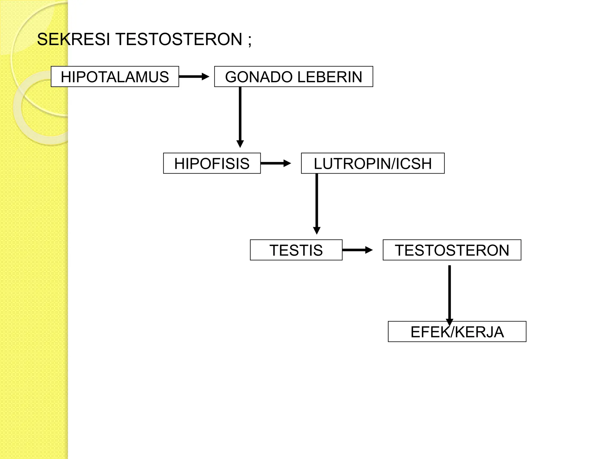 FARMAKOLOGI HORMONAL obat hormonal Diabetes | PPTX