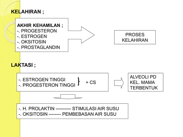 FARMAKOLOGI HORMONAL obat hormonal Diabetes | PPTX