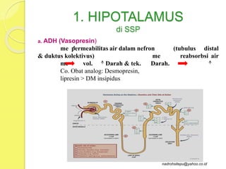 FARMAKOLOGI HORMONAL obat hormonal Diabetes | PPTX
