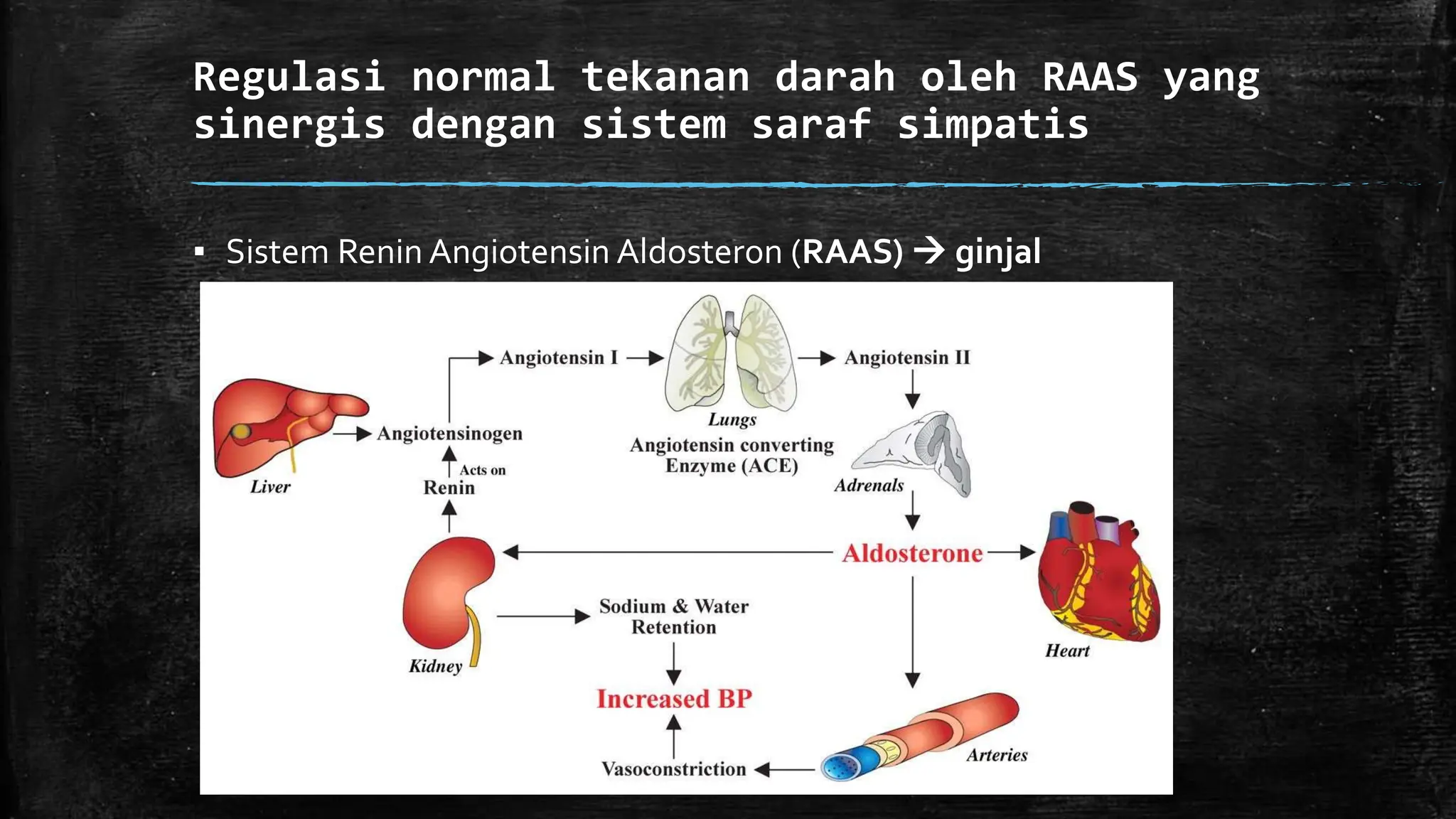 Farmakologi KARDIOVASKULER HIPERTENSI ANGINA PECTORIS,.pptx