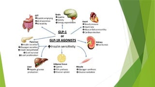 Farmakologi Obat Antidiabet berisikan matakuliah | PPT