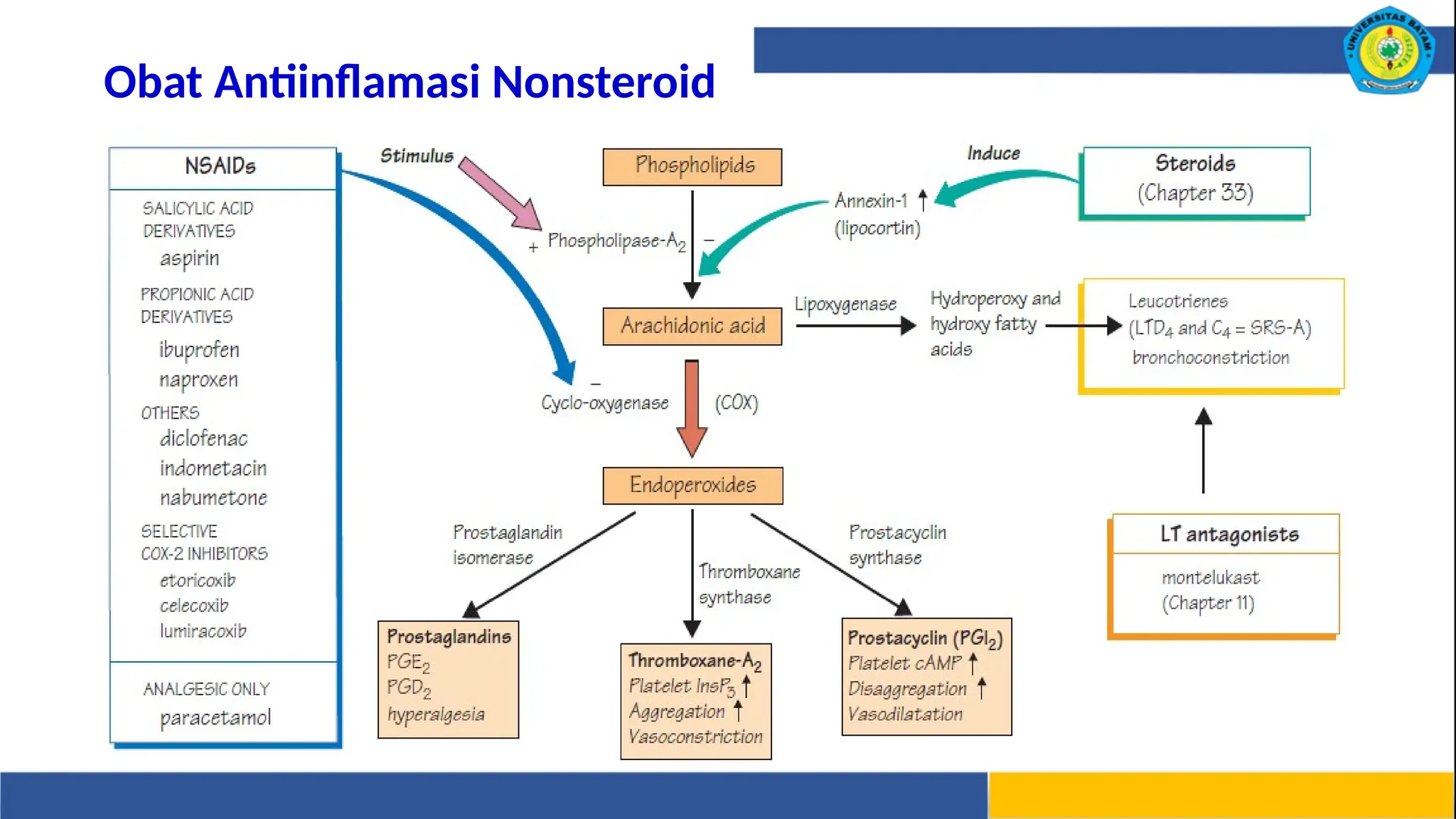 Farmakologi obat-obat golongan antiinflamasi | PPTX