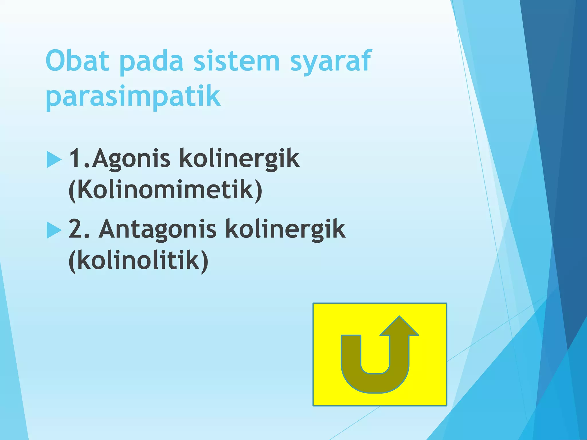 FARMAKOLOGI SISTEM SYARAF OTONOM.pdf