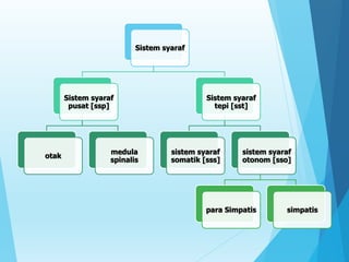 FARMAKOLOGI SISTEM SYARAF OTONOM.pdf