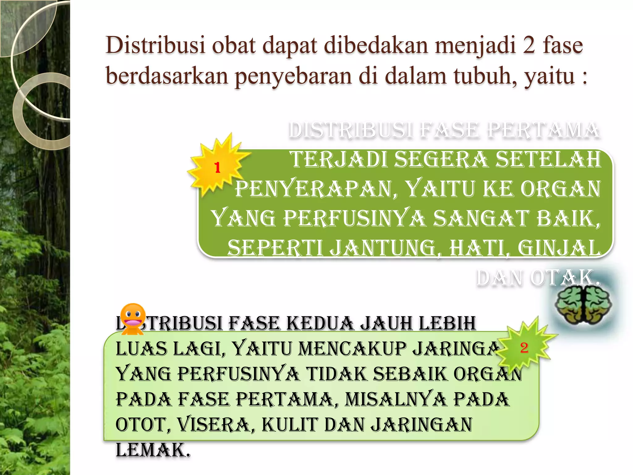 Distribusi Obat Dalam Tubuh | PPTX