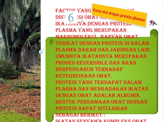 Distribusi Obat Dalam Tubuh | PPTX