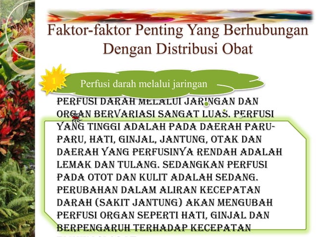 Distribusi Obat Dalam Tubuh | PPTX