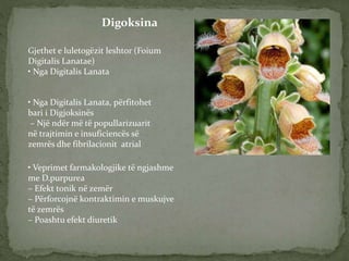 Kardiotoniket | PPTX