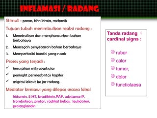 farmakoterapi obat anti nyeri (1) .pptx