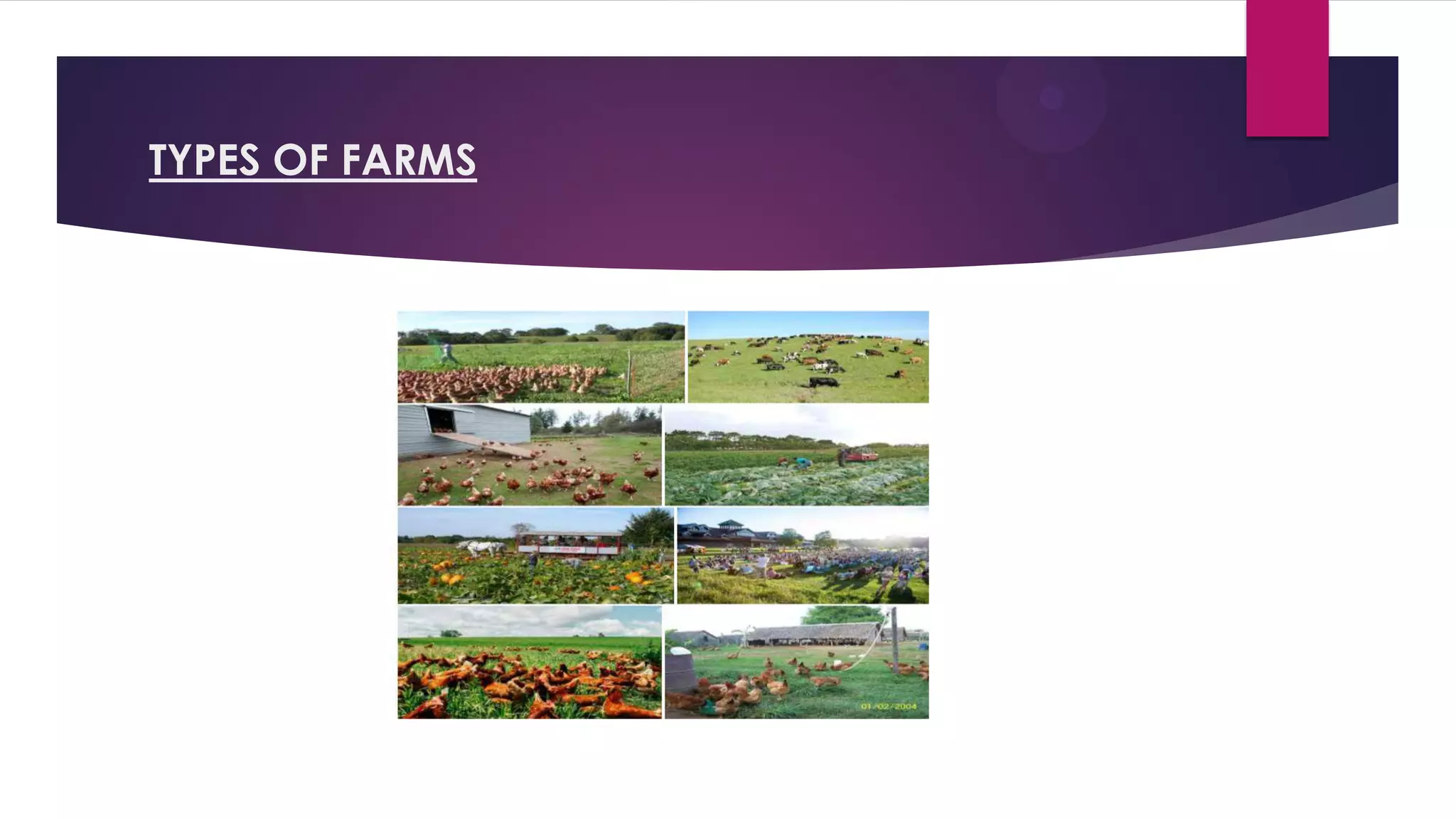 Farm and human power REPORT - AE 215-SOURCES OF FARM POWER | PDF