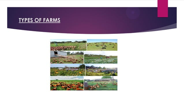 Farm and human power REPORT - AE 215-SOURCES OF FARM POWER | PDF ...