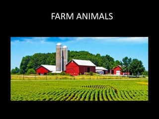 FARM AND WILD ANIMALS | PPT