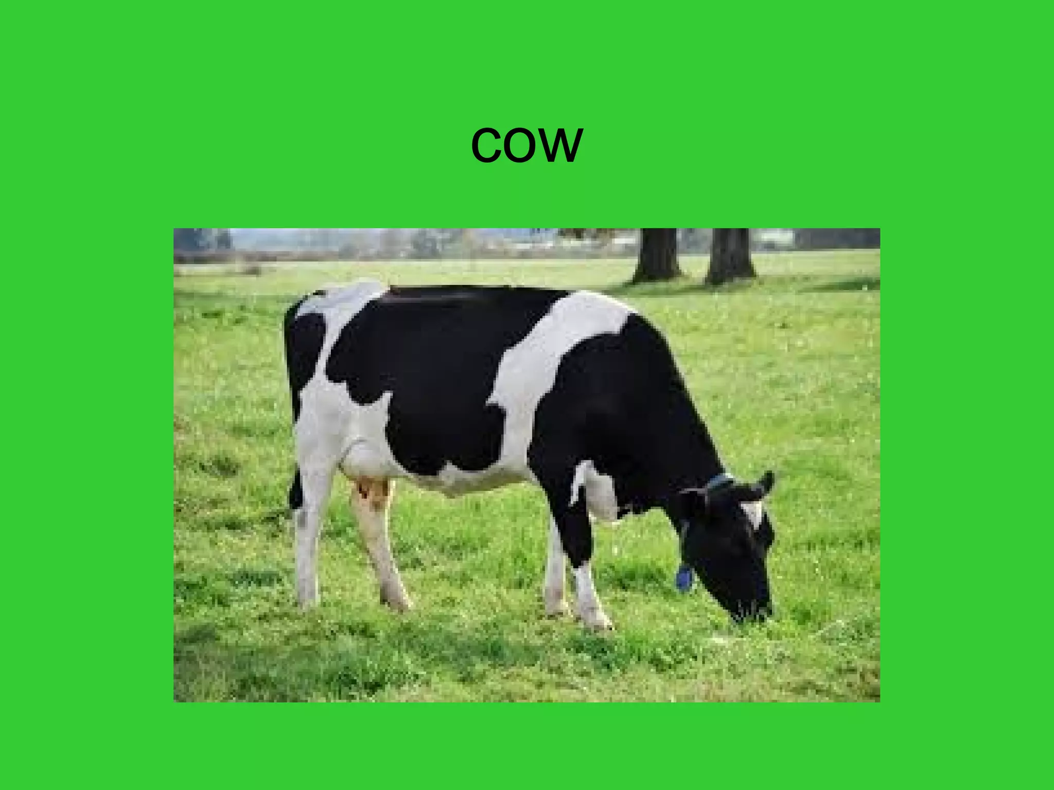 Farm animal | PPT