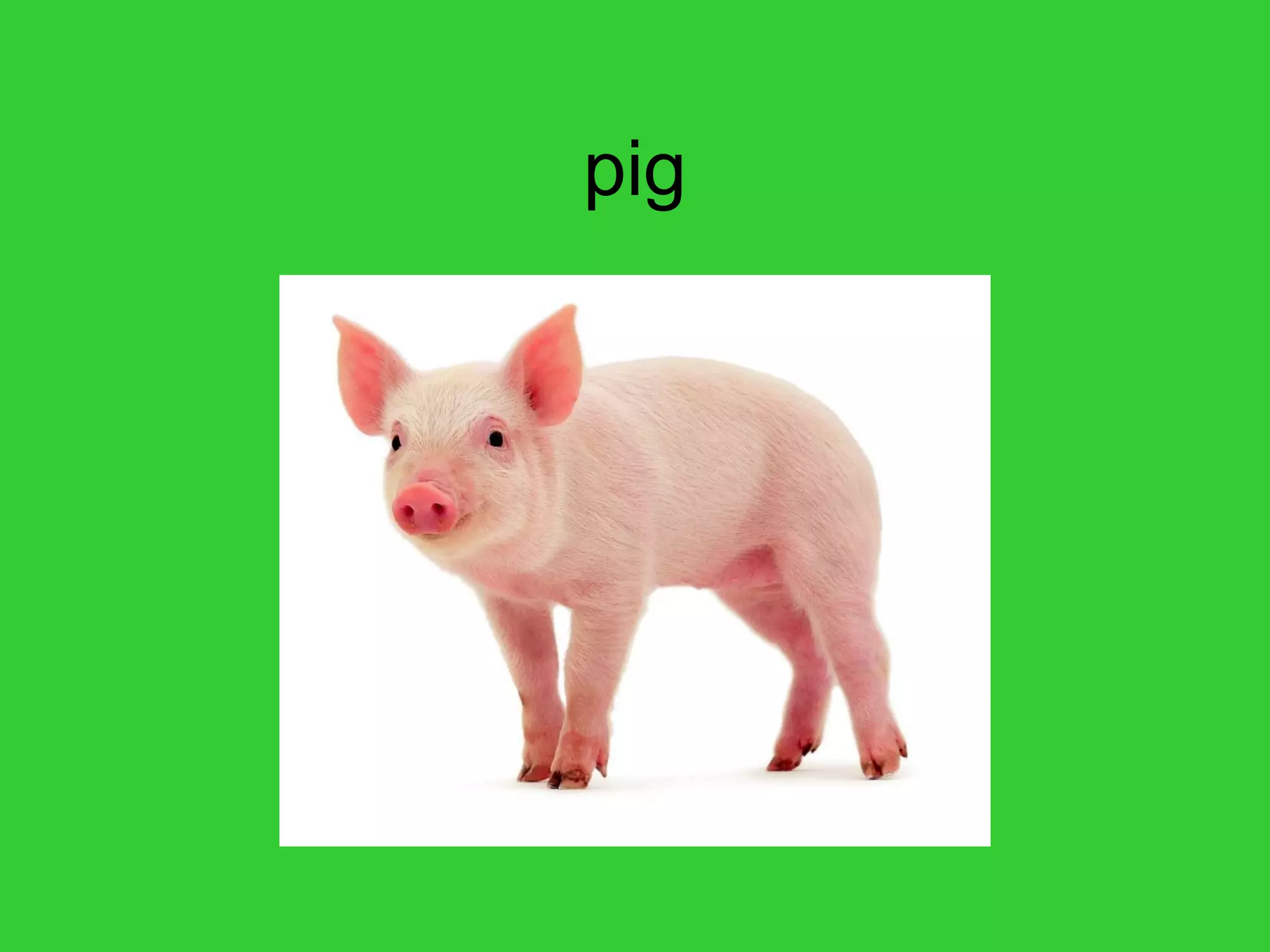 Farm animal | PPT
