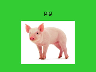 Farm animal | PPT