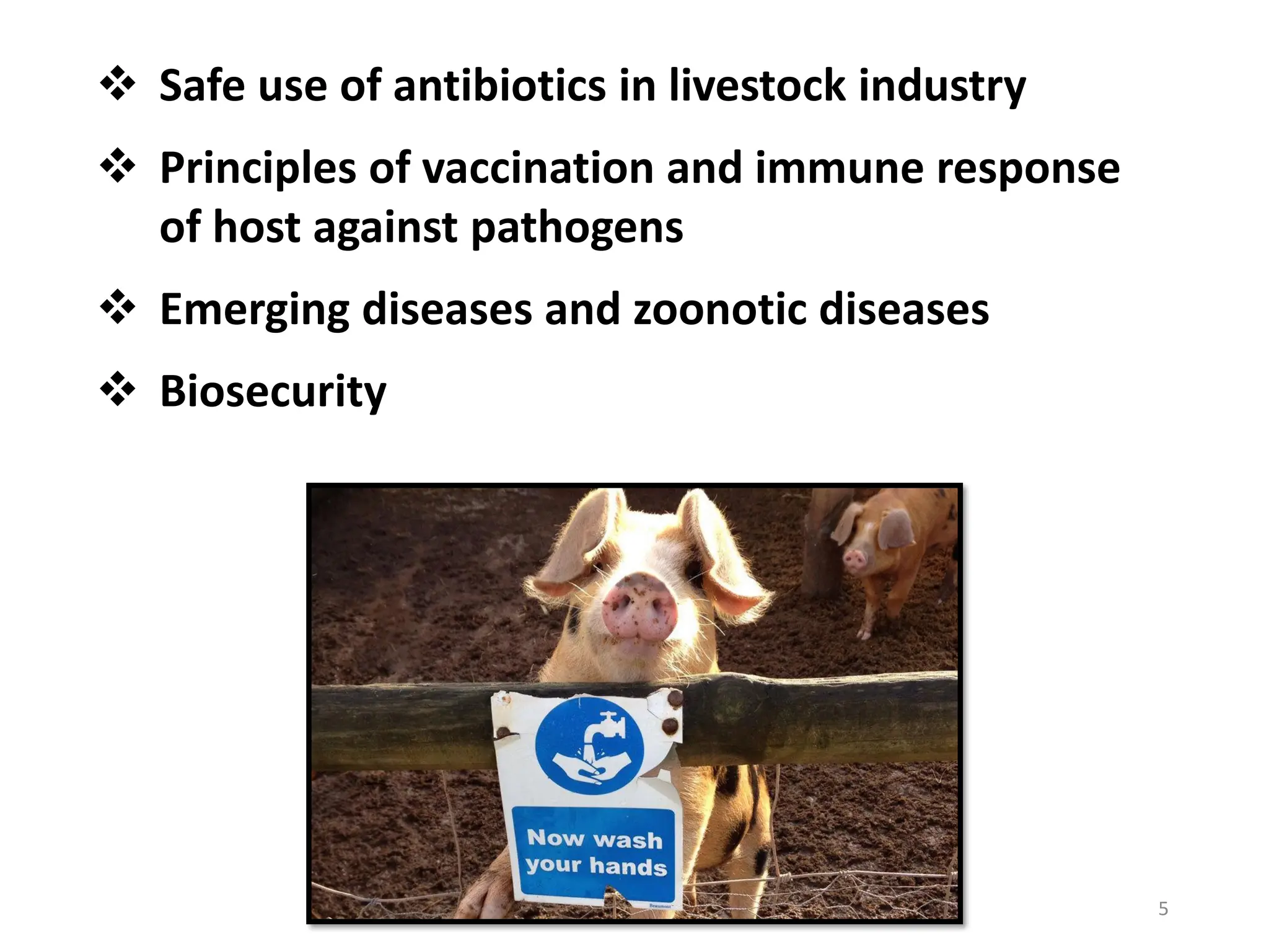 Farm Animal Hygiene - Introduction and Identification of Sick animals.pdf
