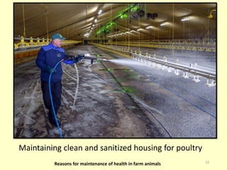 Farm Animal Hygiene - Introduction and Identification of Sick animals.pdf
