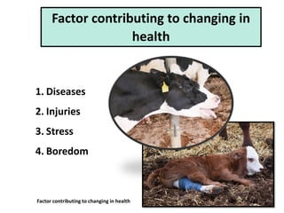 Farm Animal Hygiene - Introduction and Identification of Sick animals.pdf
