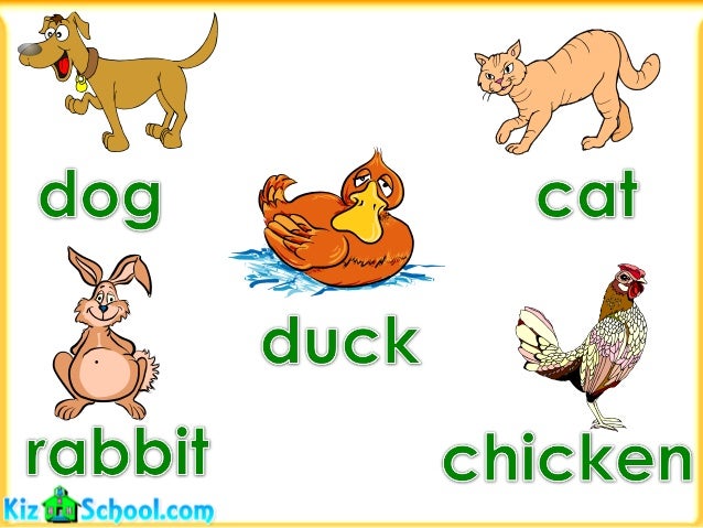 Favorite Animal Sign