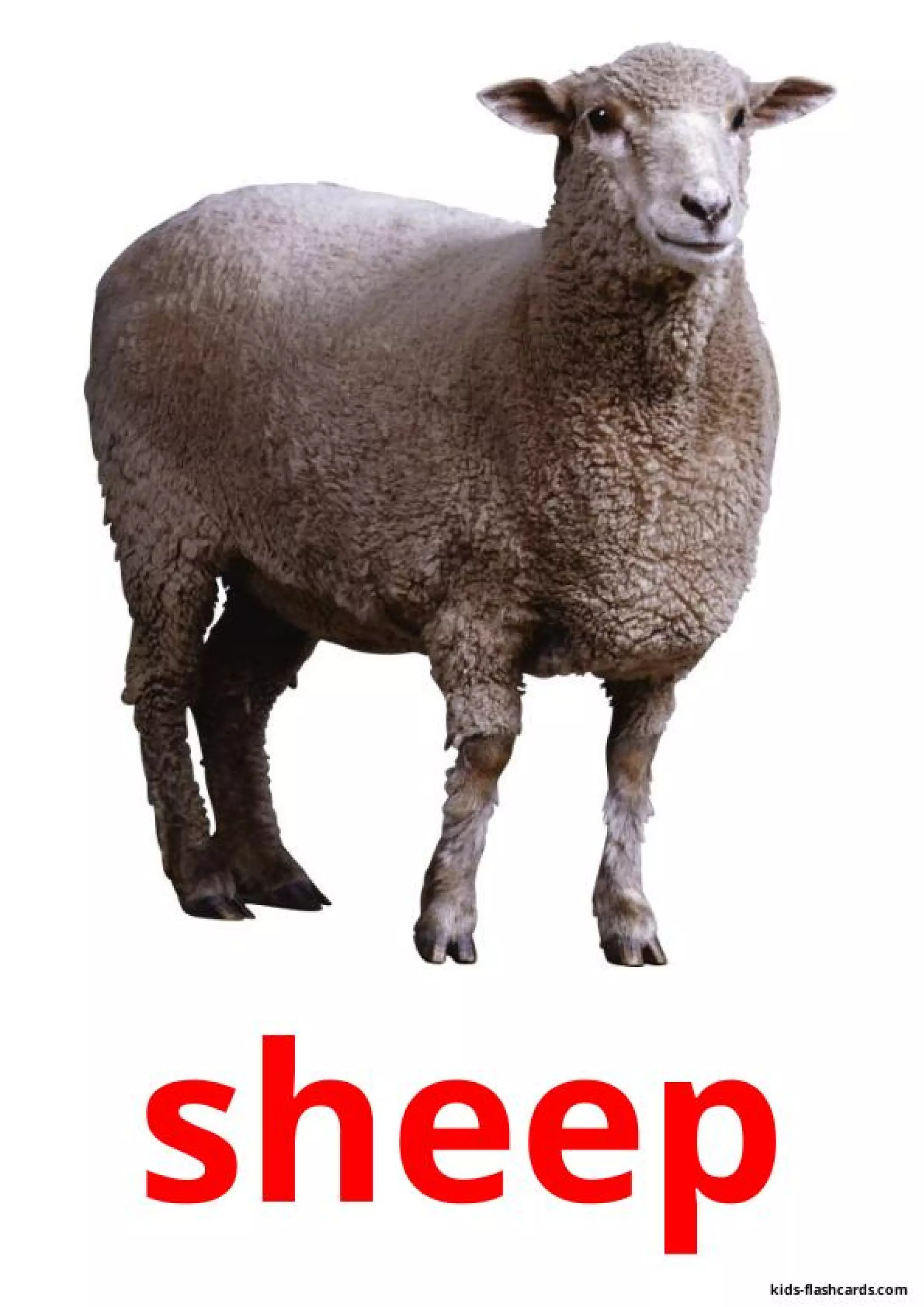 Farm animals 1-a4 | PDF