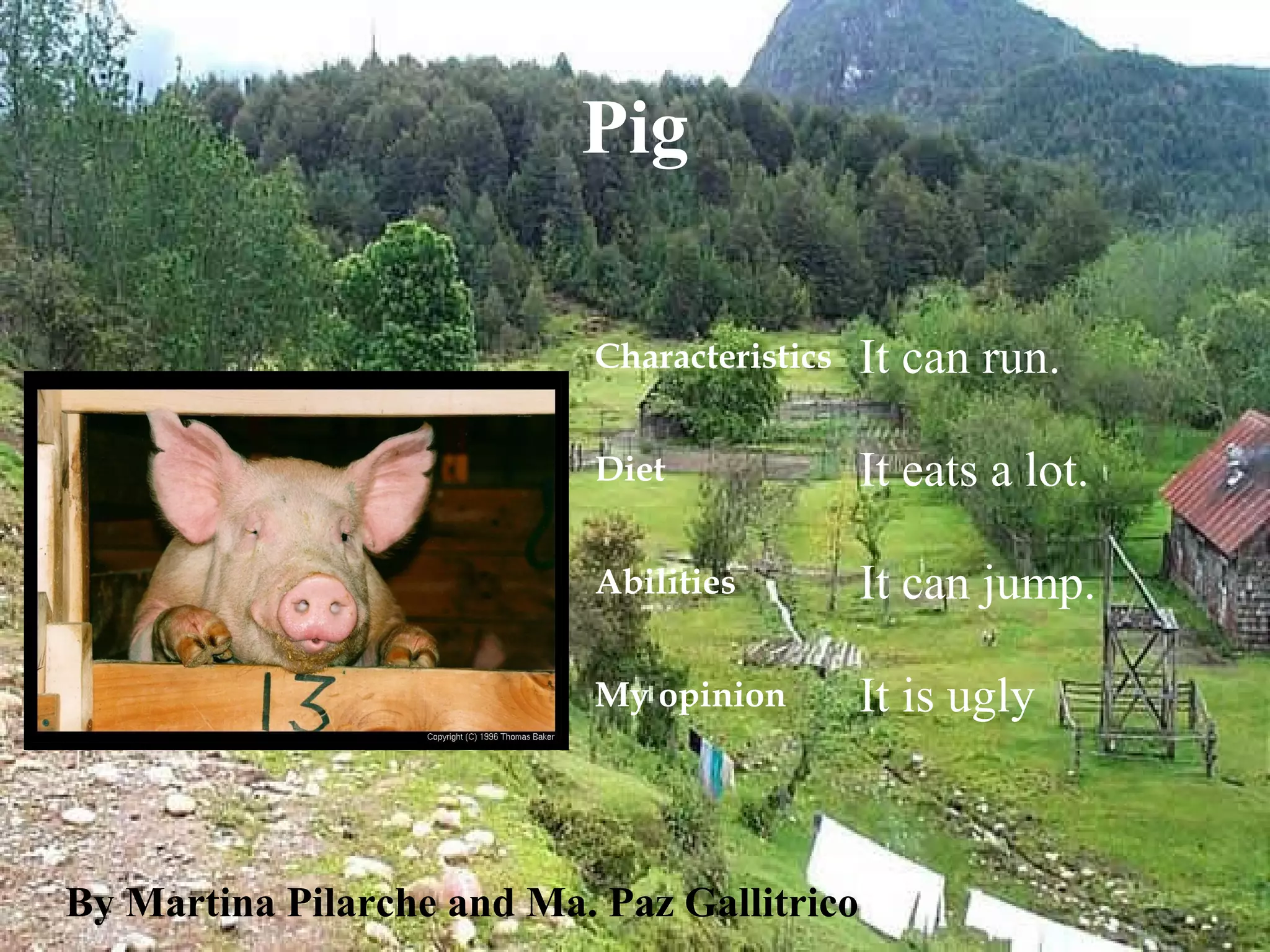Farm animals | PPT