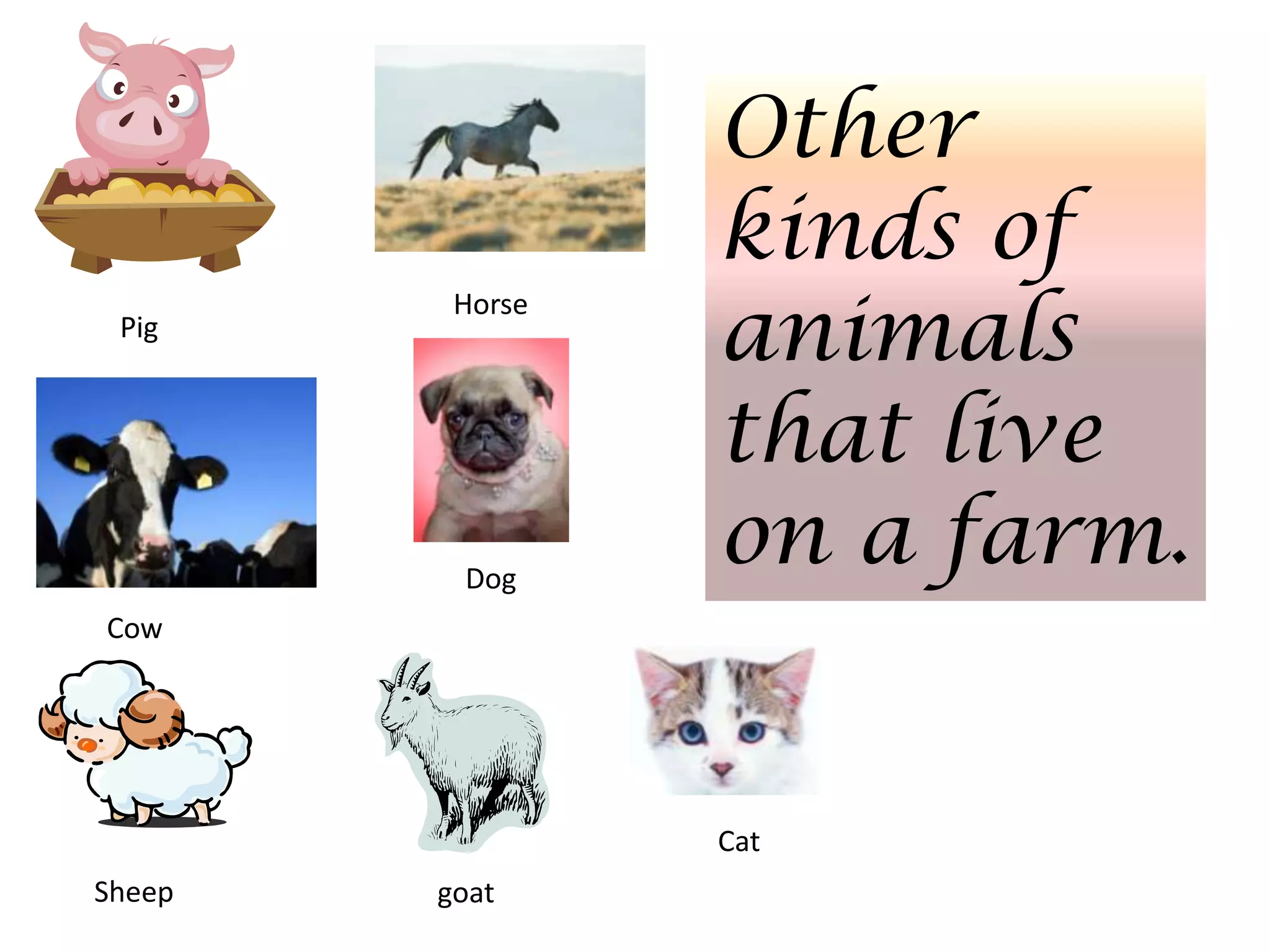 Farm animals | PPTX | Dogs | Pets
