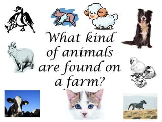 Farm animals | PPTX | Dogs | Pets
