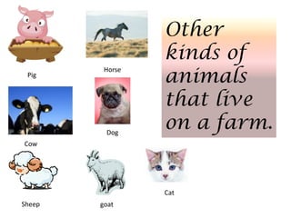 Farm animals | PPTX