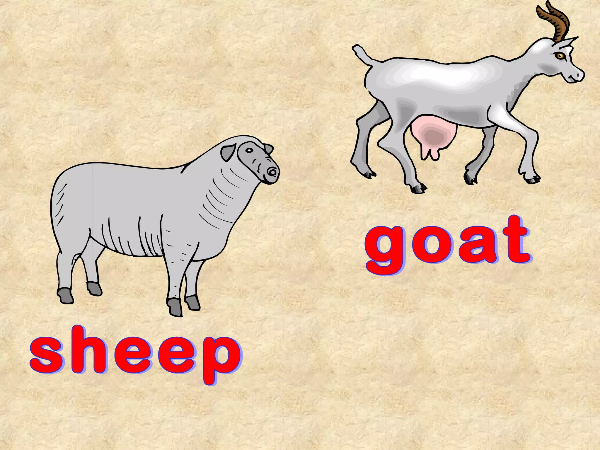 Farm animals | PPS