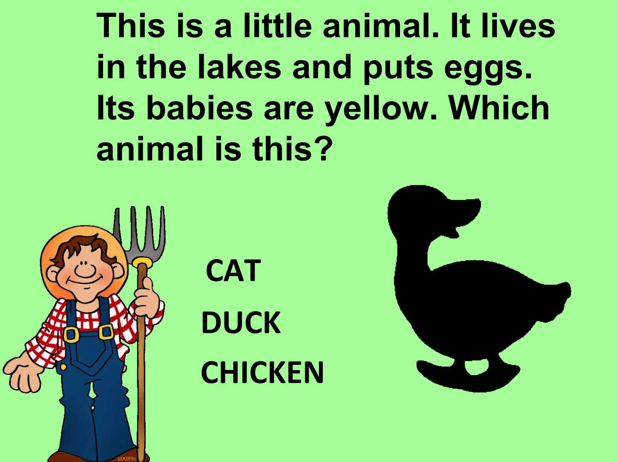 Farm animals | PPT