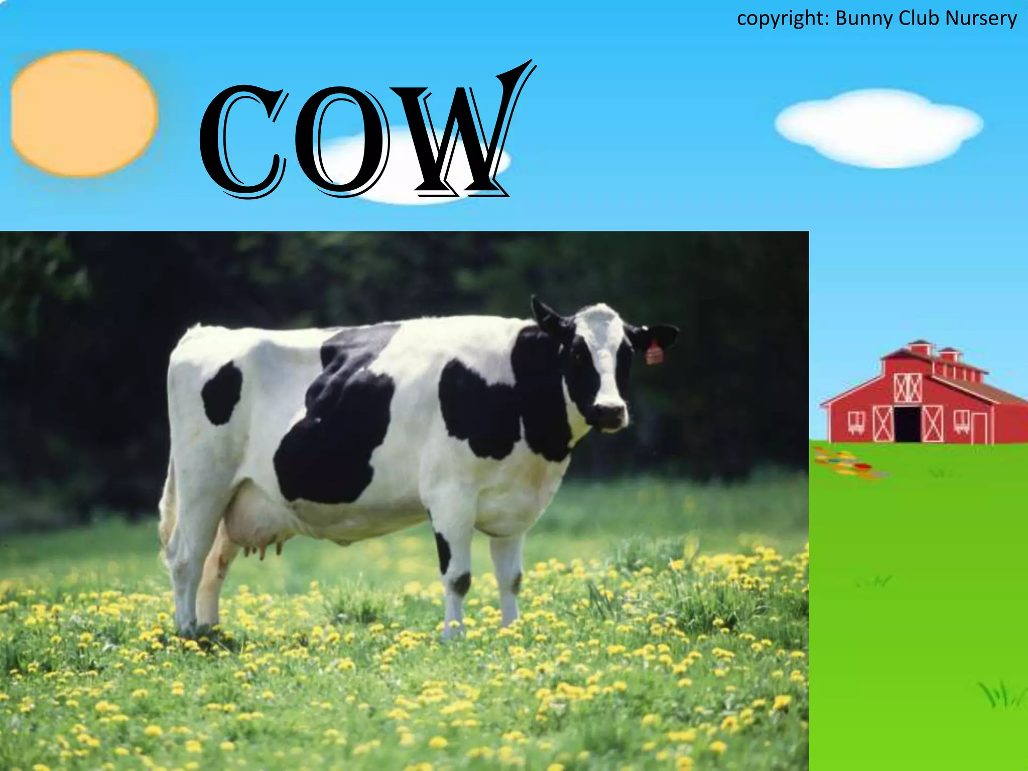Farm Animals | PPT