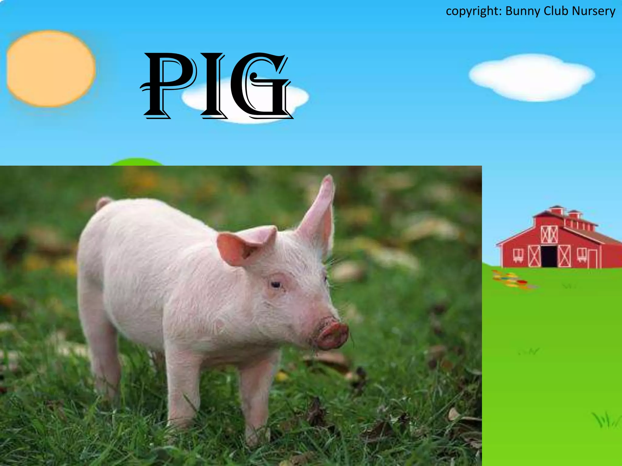 Farm Animals | PPT