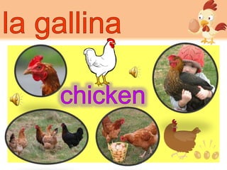 Farm animals-los animales de la granja | PPT