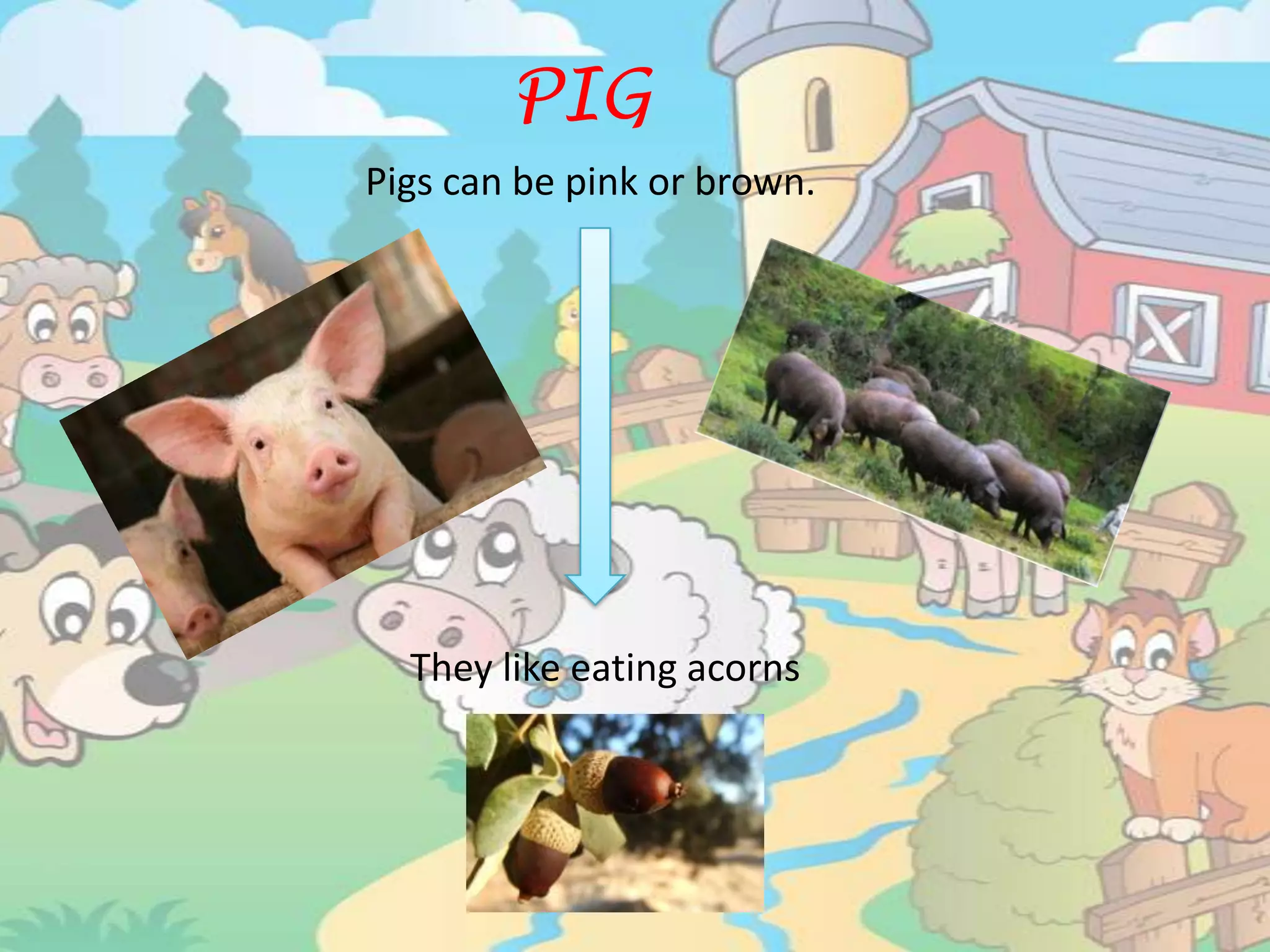 Farm animals.ppt