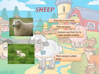 Farm animals.ppt