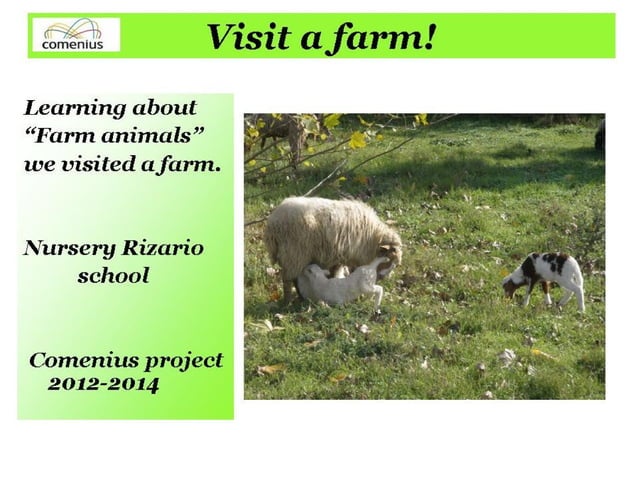 Farm animals | PPT