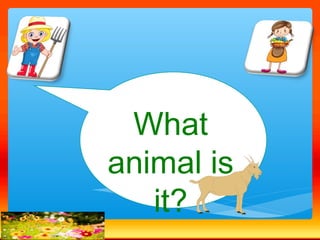 Farm animals | PPT