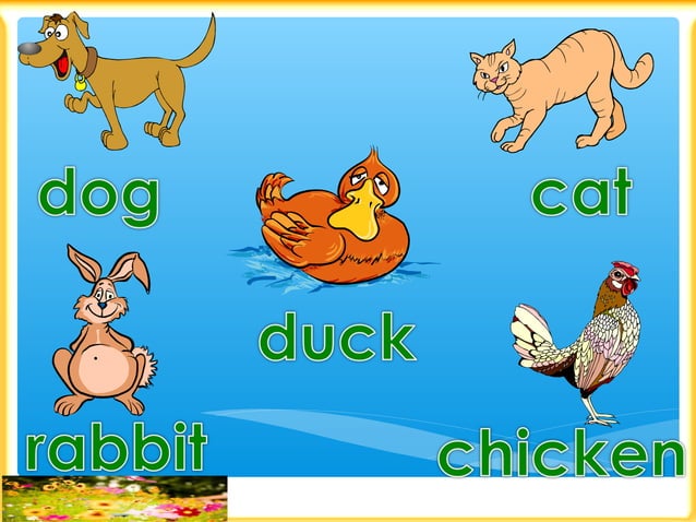 Farm animals | PPT