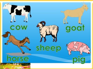 Farm animals | PPT