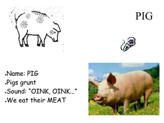 Farm animals | PPTX