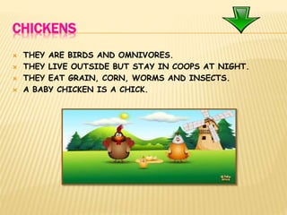 Farm animals | PPTX