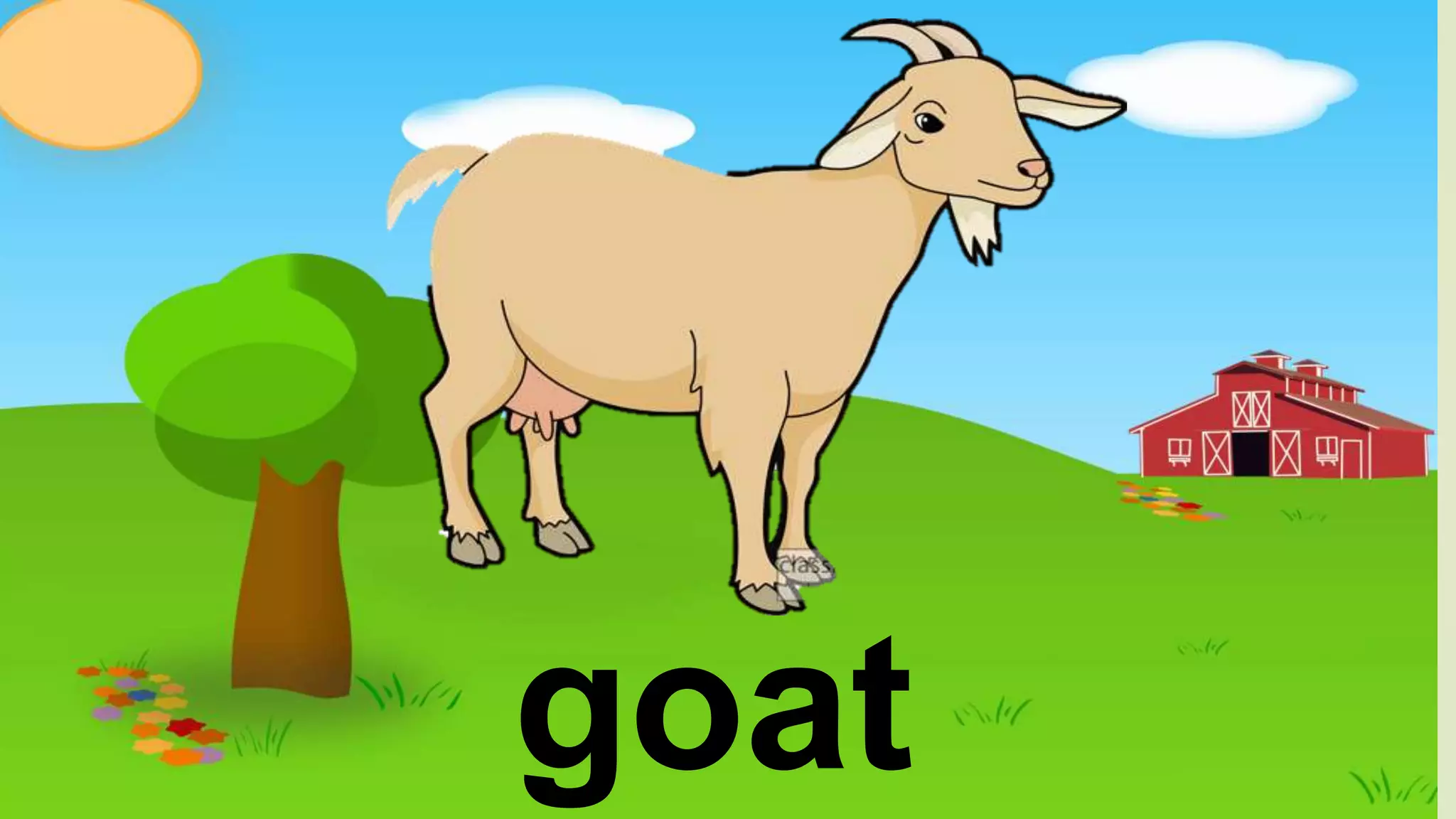 Farm animals | PPT