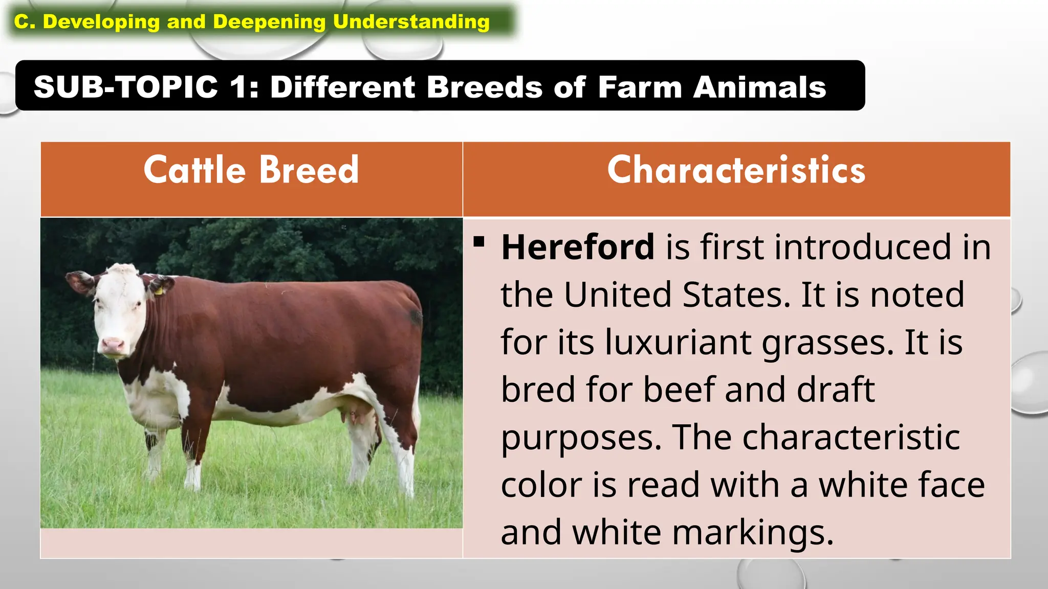 FARM ANIMALS.pptx.......................... | PPTX