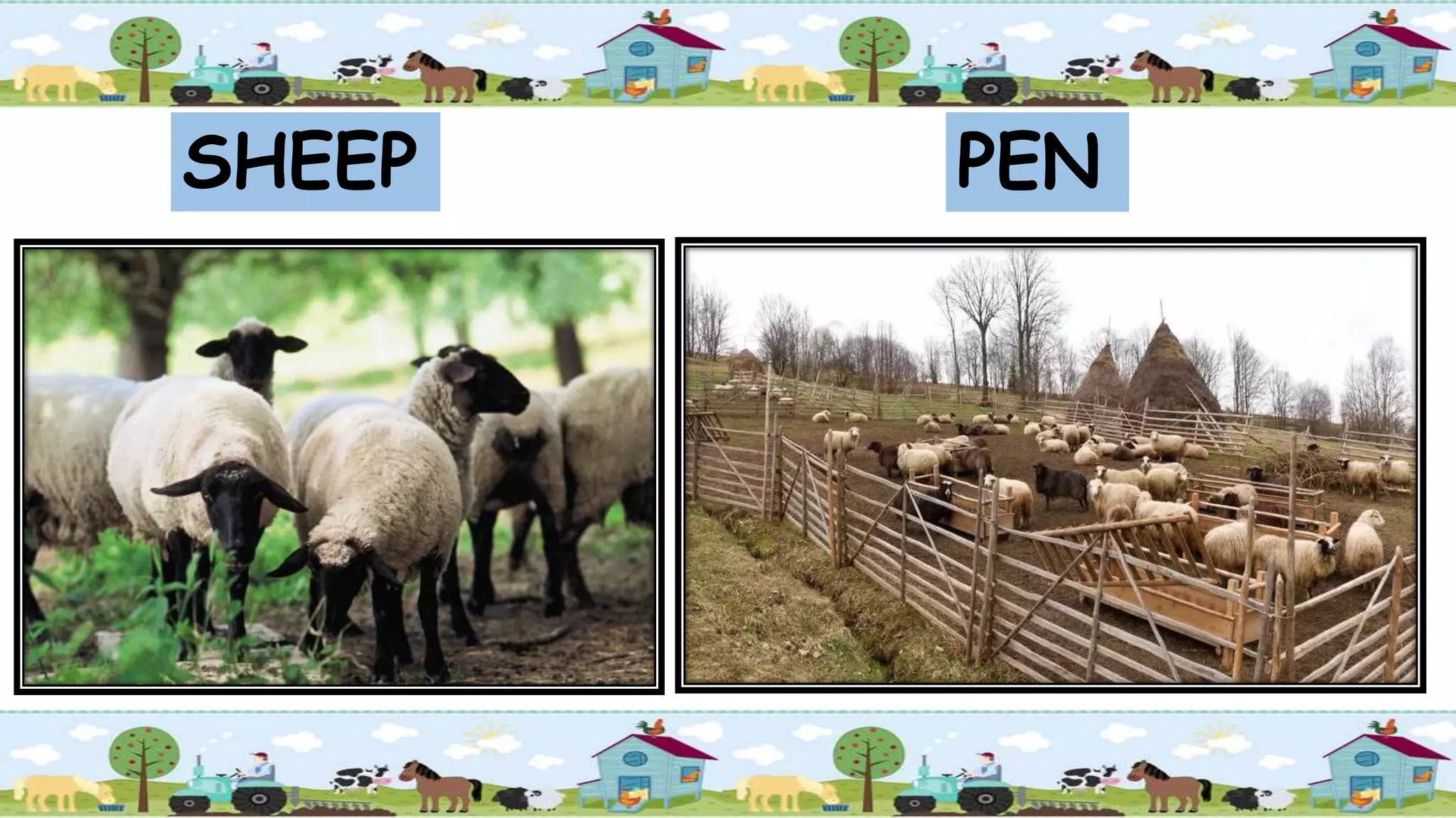 FARM ANIMALS - HOMES.pptx